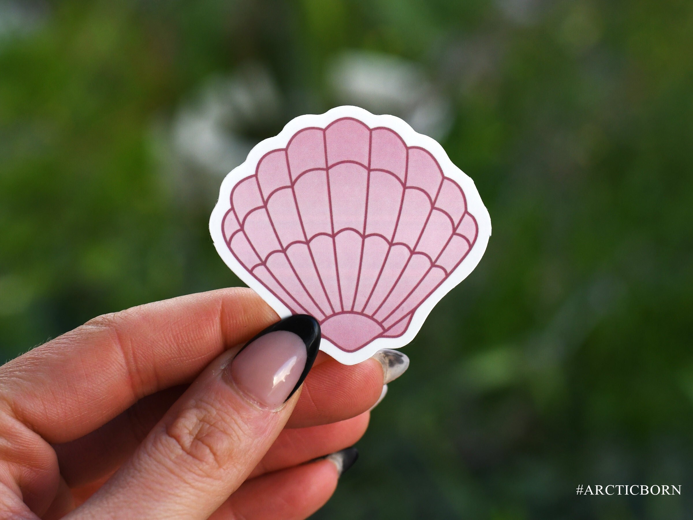 Coconut Girl Aesthetic Sticker, Pink Shell Decals, Cute Beach Vibe ...