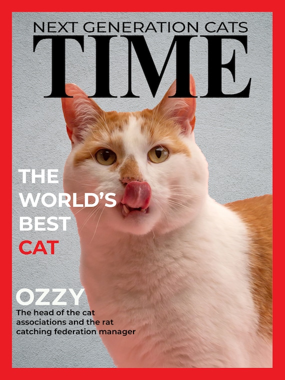 Funny Magazine Covers Category: Magazine Cover Creation Arts