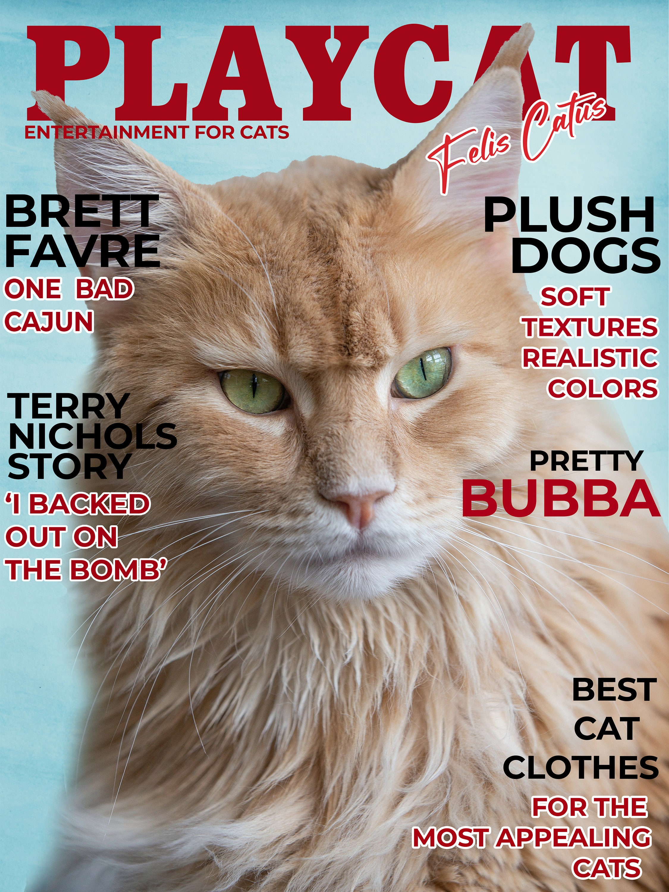 Pet Magazine Cover, Custom Pet Portrait, Funny Gift, Pet Lover Gift ...