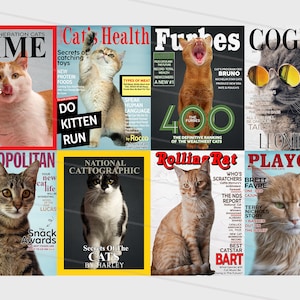 Pet Magazine Cover, Custom Pet Portrait, Funny Gift, Pet Lover Gift ...