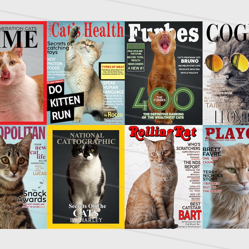Cat Magazine Cover Photo - Etsy