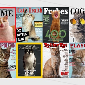 Personalized Cat Prints Poster, Custom Magazine Covers, Customize Wall ...
