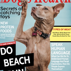 Personalized Dog Prints | Magazine Covers | Pet Portraits | Custom Pet ...