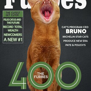 Personalized Cat Prints | Magazine Covers | Pet Portraits | Custom Pet ...