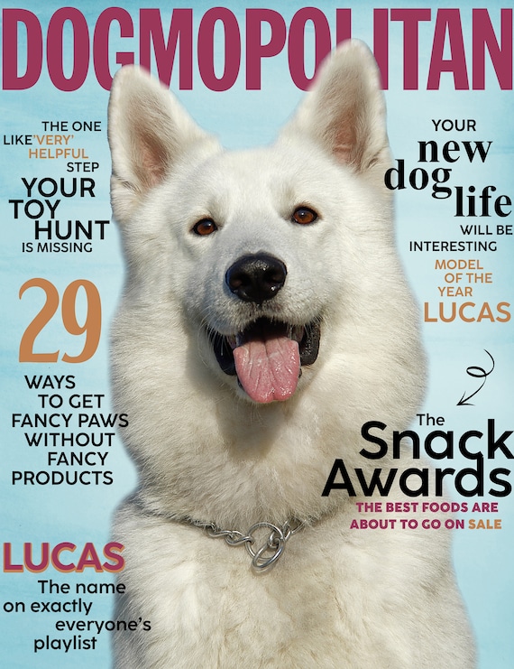 Portadas De Revistas De Perros Modernas Nuevo Libro ¿No Puede Pasear?
