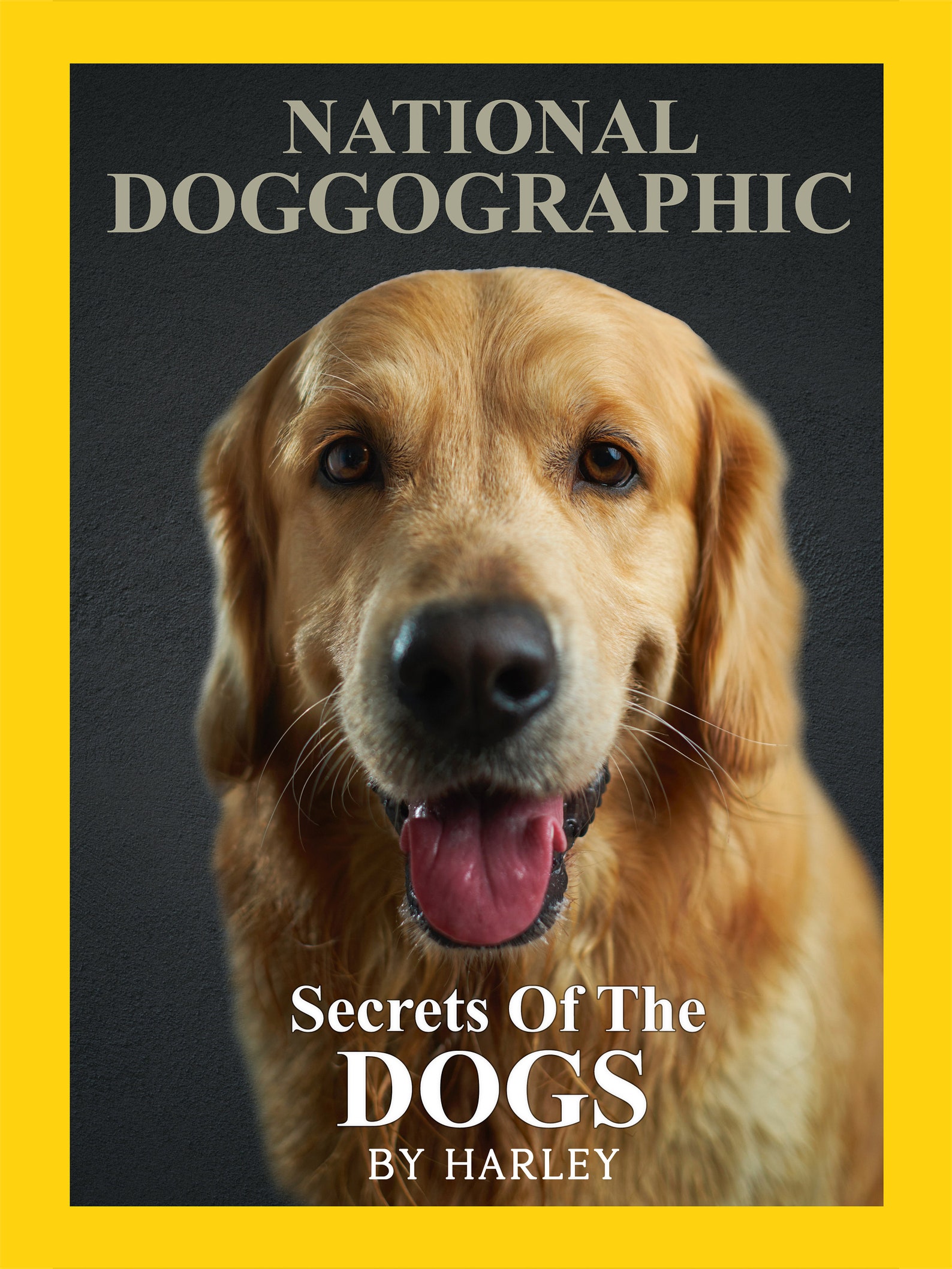 Personalized Dog Prints | Magazine Covers | Pet Portraits | Custom Pet ...
