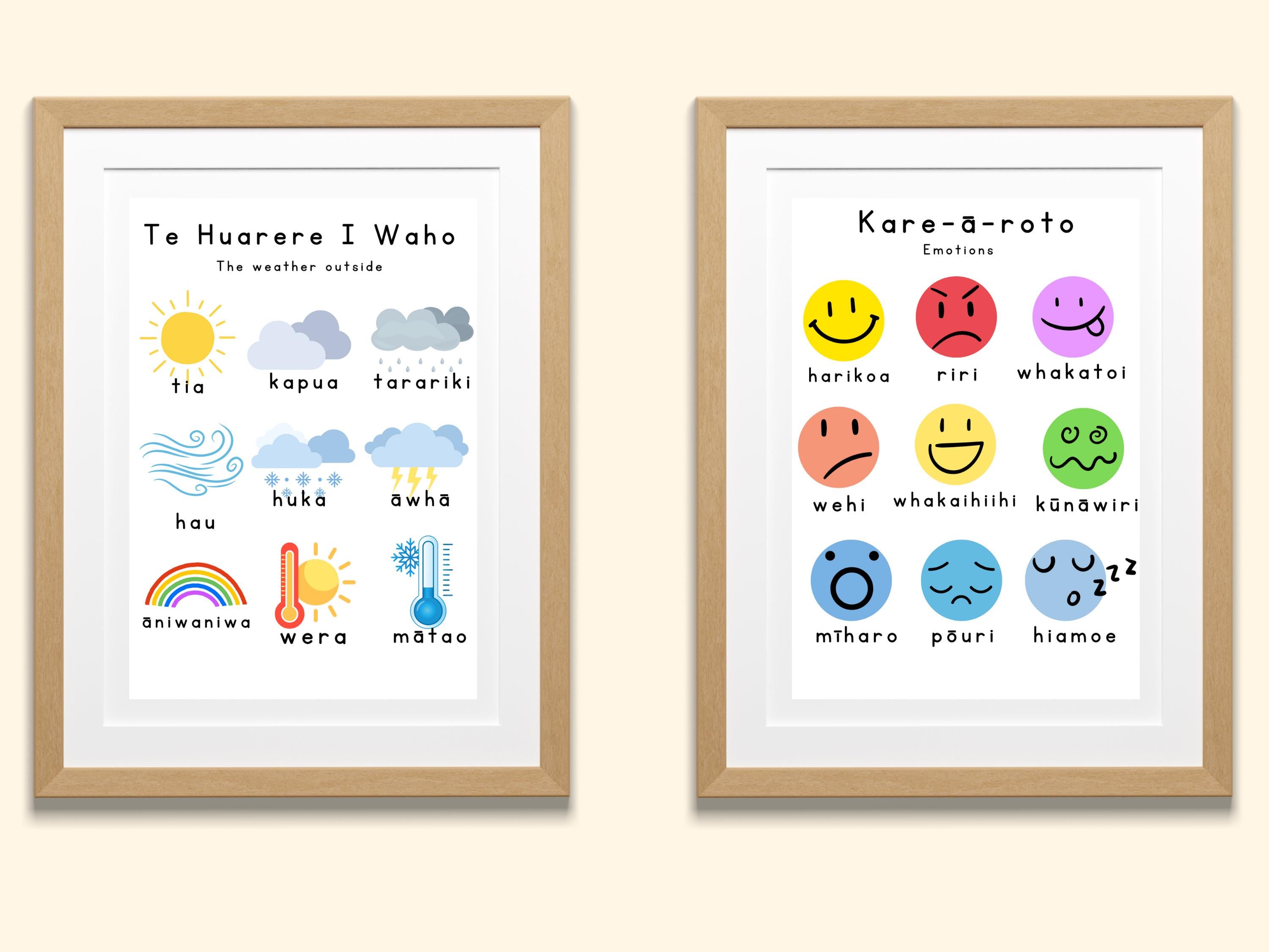 Te Reo Maori Educational Posters: Classroom & Homeschool Wall Art (set ...