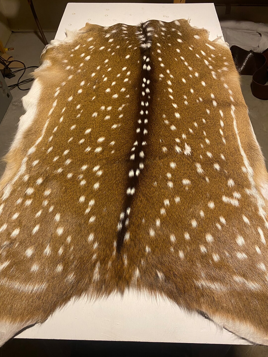 Deer Skin Rug 1/2 Grade Axis Deer Hide. Fallow Deer Rug Hair On ...