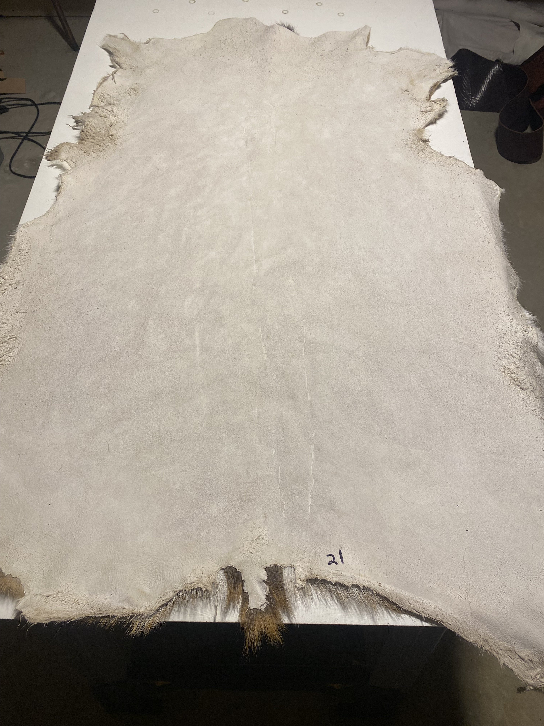 Deer Skin Rug 1/2 Grade Axis Deer Hide. Fallow Deer Rug Hair On ...