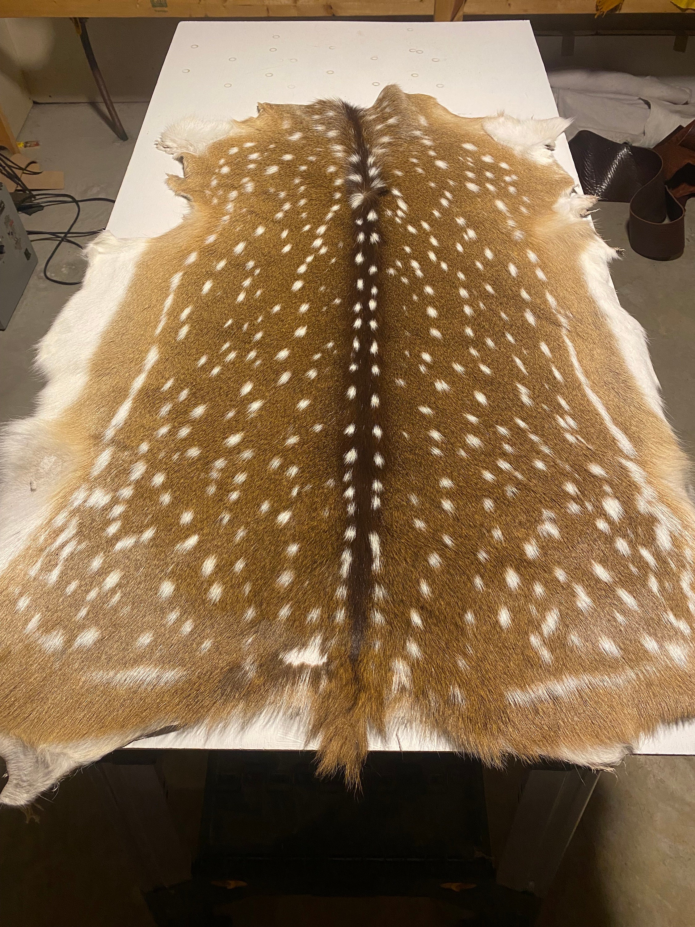Deer Skin Rug 1/2 Grade Axis Deer Hide. Fallow Deer Rug Hair On ...