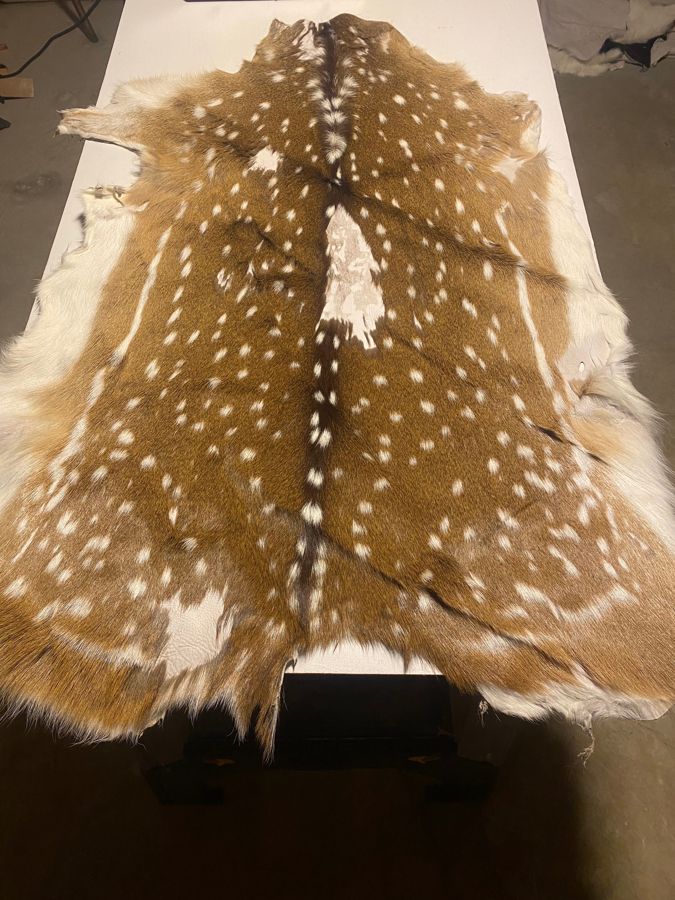 Deer Skin Second Grade Axis Deer Hide Size. Fallow Deer Rug Hair On ...