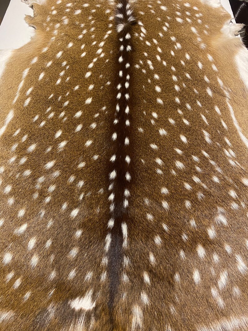 Deer Skin Rug 1/2 Grade Axis Deer Hide. Fallow Deer Rug Hair On ...