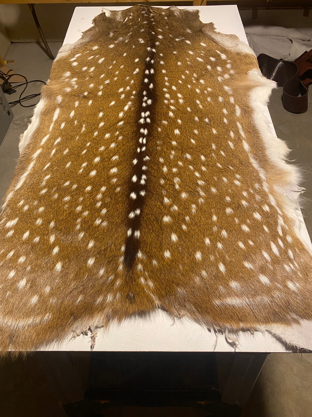 Deer Skin Rug 1/2 Grade Axis Deer Hide. Fallow Deer Rug Hair On ...