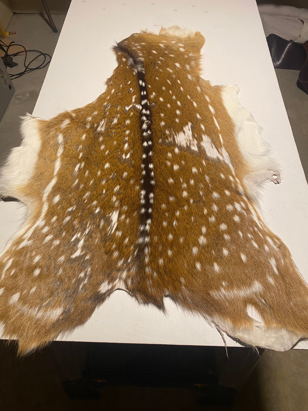 Deer Skin Second Grade Axis Deer Hide Size. Fallow Deer Rug Hair On ...
