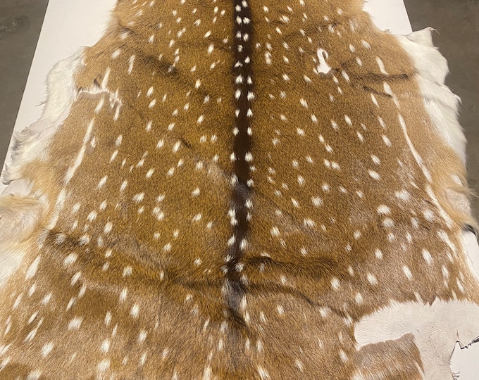 Deer Skin Second Grade Axis Deer Hide Size. Fallow Deer Rug Hair On ...