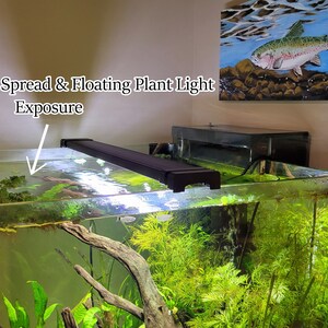 Aquarium Co-op Easy Plant LED & Fluval Aquasky 2.0 - 3 In. Light Riser - Etsy