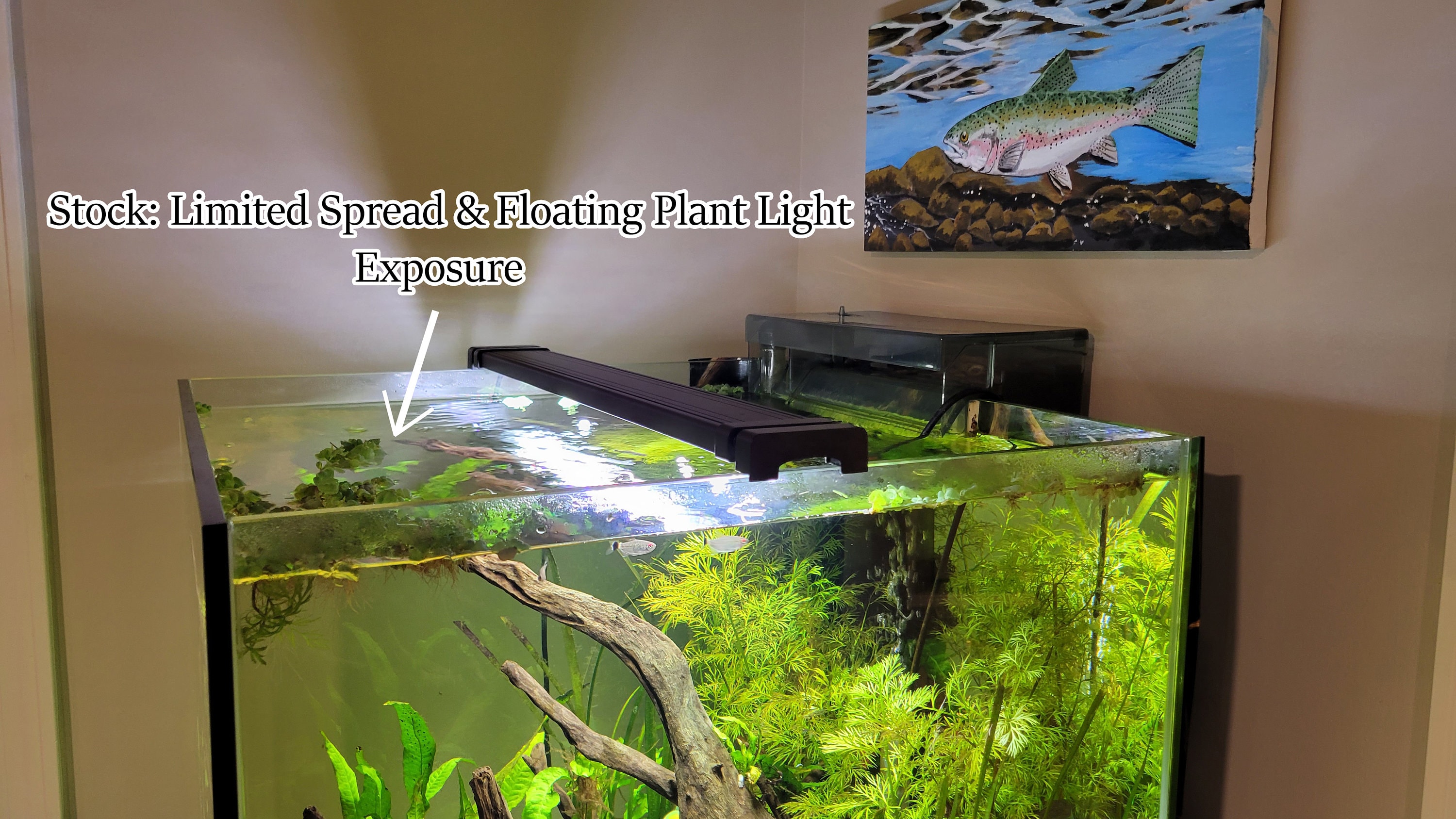 Aquarium Co-op Easy Plant LED & Fluval Aquasky 2.0 - 3 In. Light Riser ...