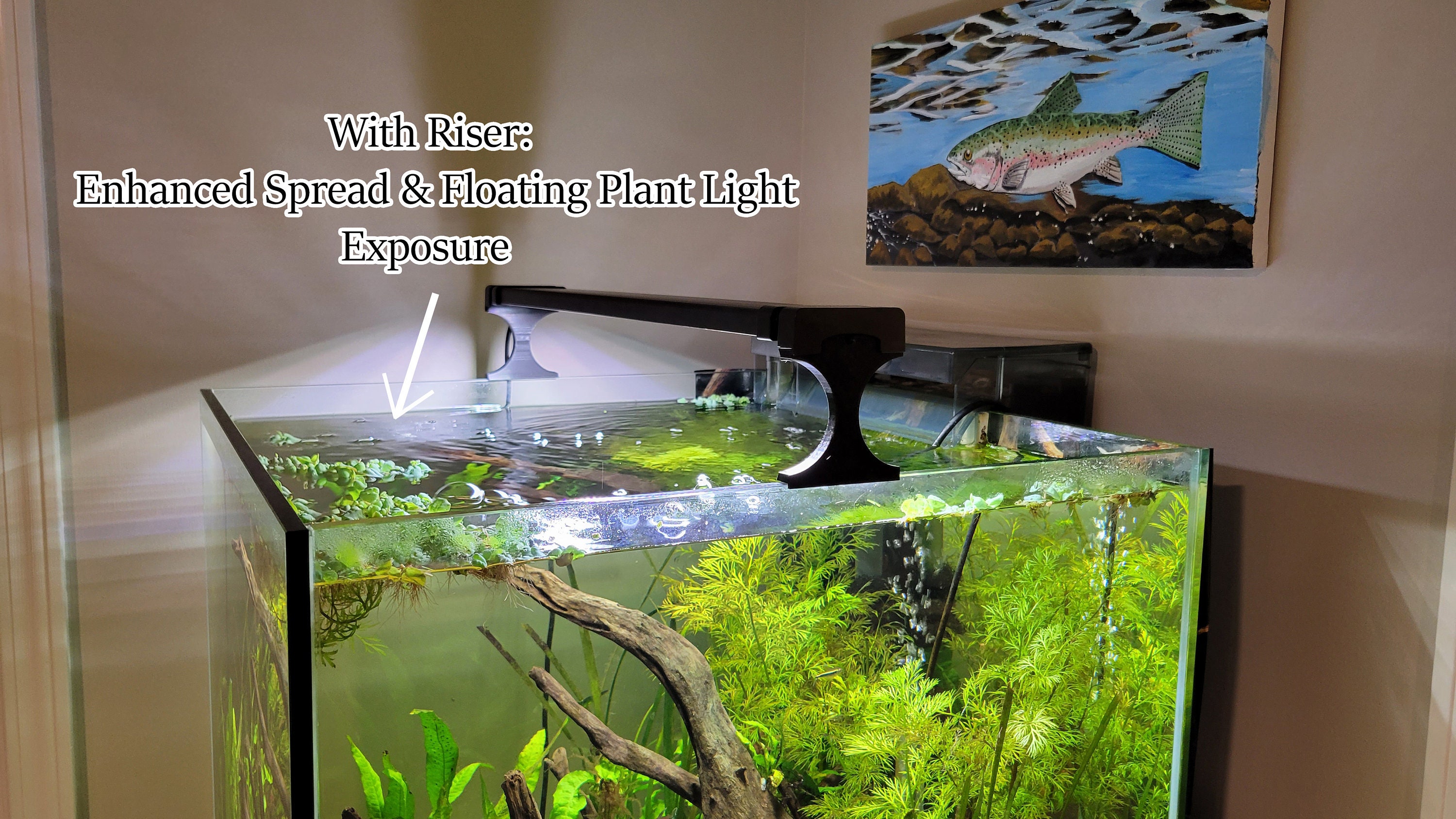 Aquarium Co-op Easy Plant LED & Fluval Aquasky 3 In. Light - Etsy