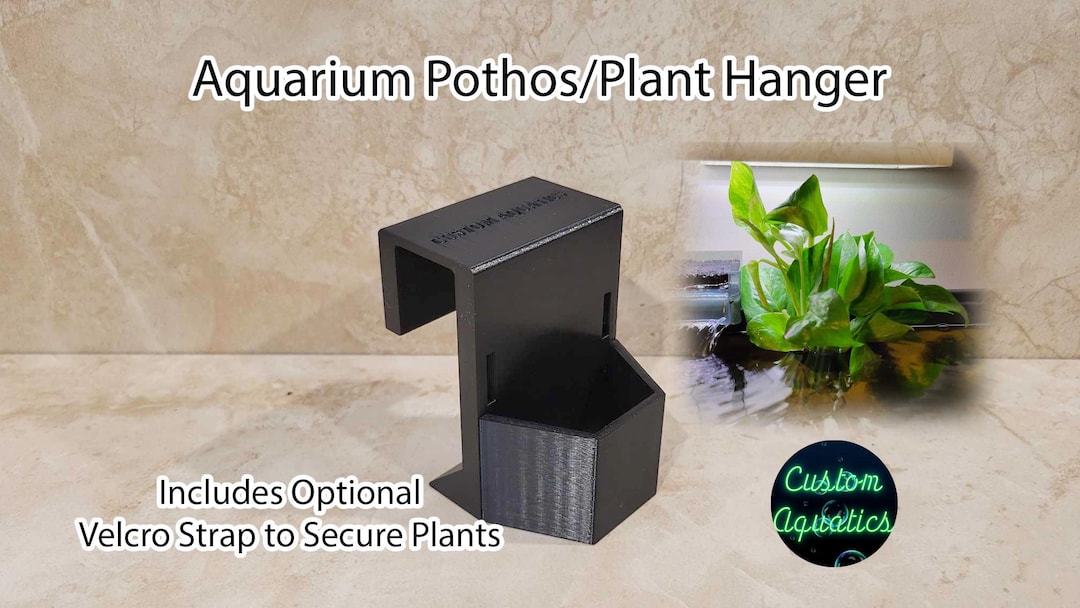 Aquarium Pothos & Plant Rim Holder - Etsy