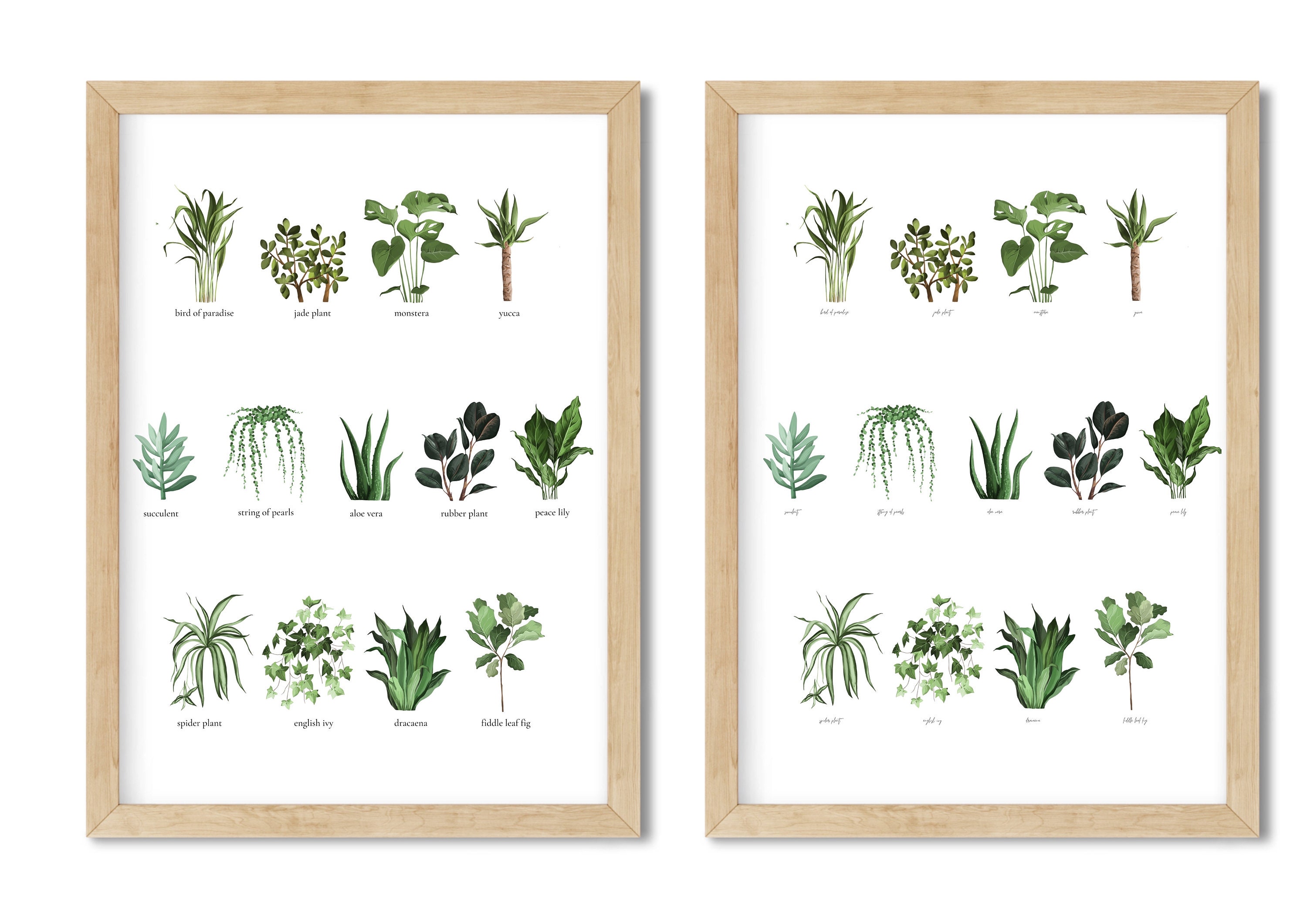 House Plants Printable Wall Art, Tropical Plant Prints, Leaves Instant ...