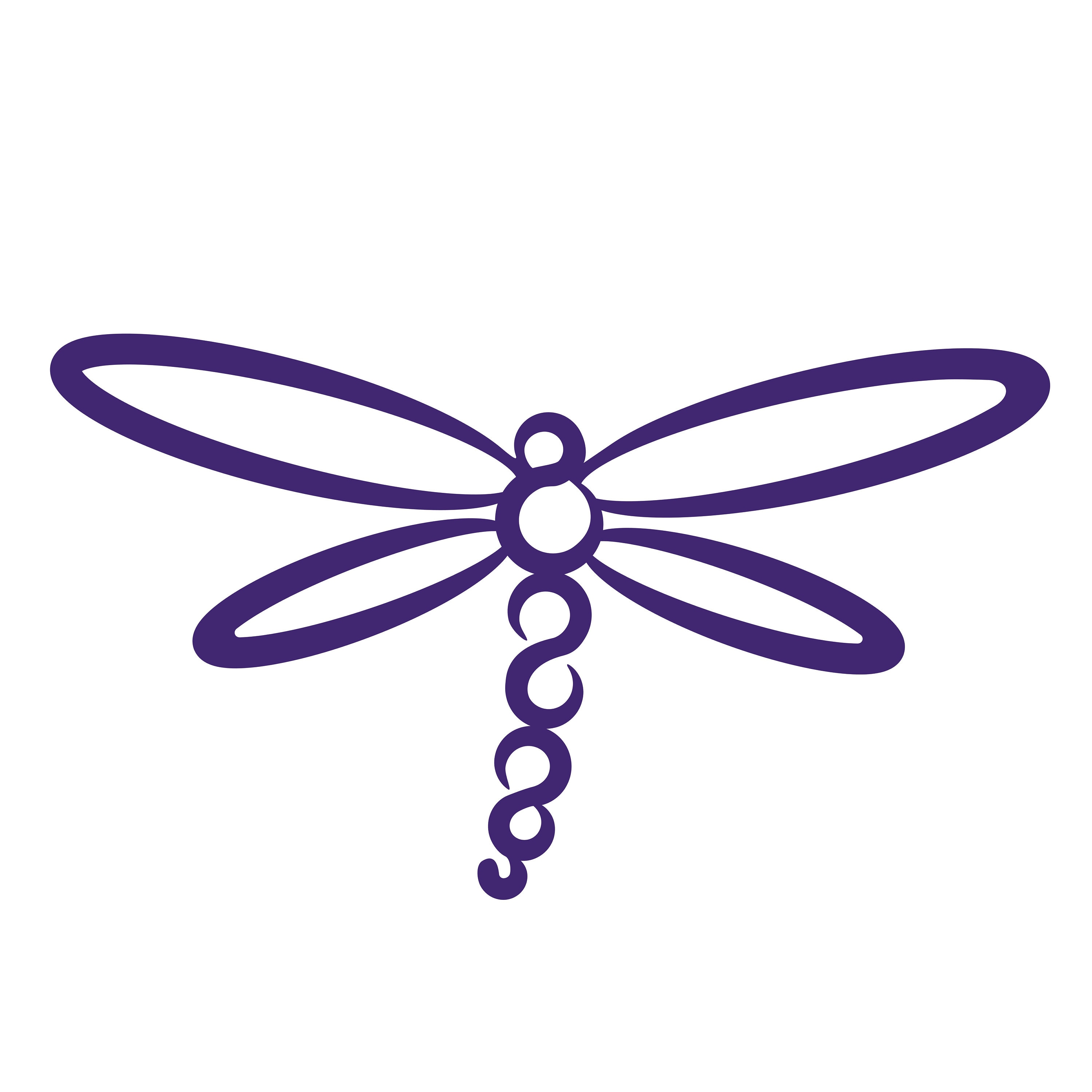 Dragonfly Vinyl Decal Dragonfly Sticker Dragonflies Car - Etsy