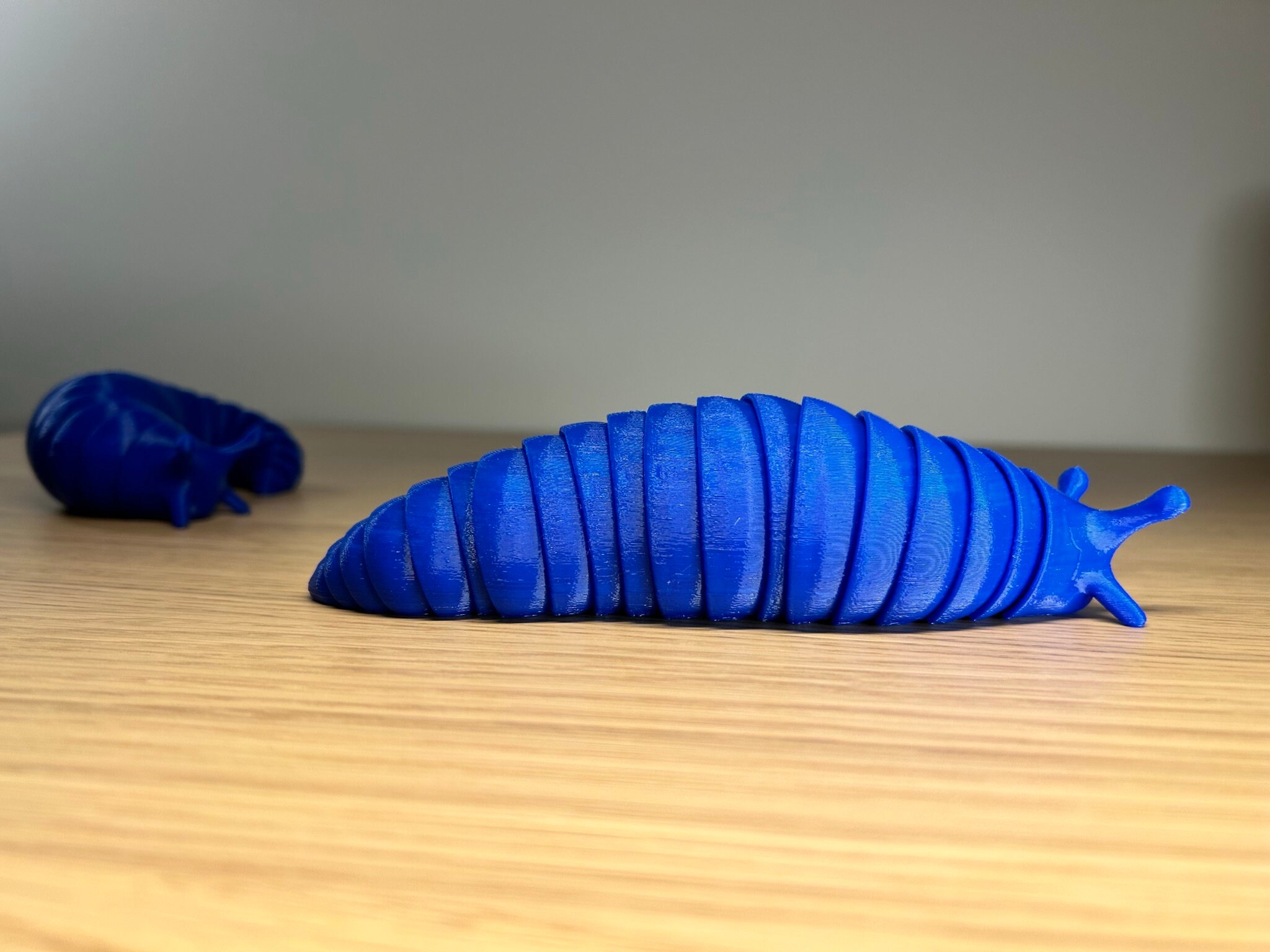 Friendly Slug Articulated Fidget Toy various Sizes and Colors - Etsy