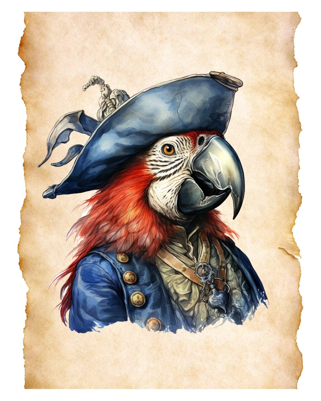 Pirates and Parrots 8x10 Art Print 2 - Etsy