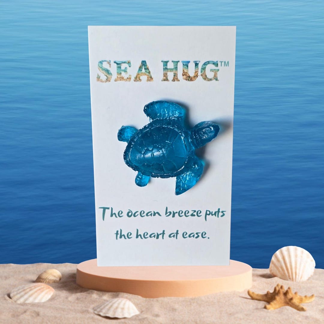 Sea Hug Aqua Sea Turtle Pocket Hug Card - Etsy