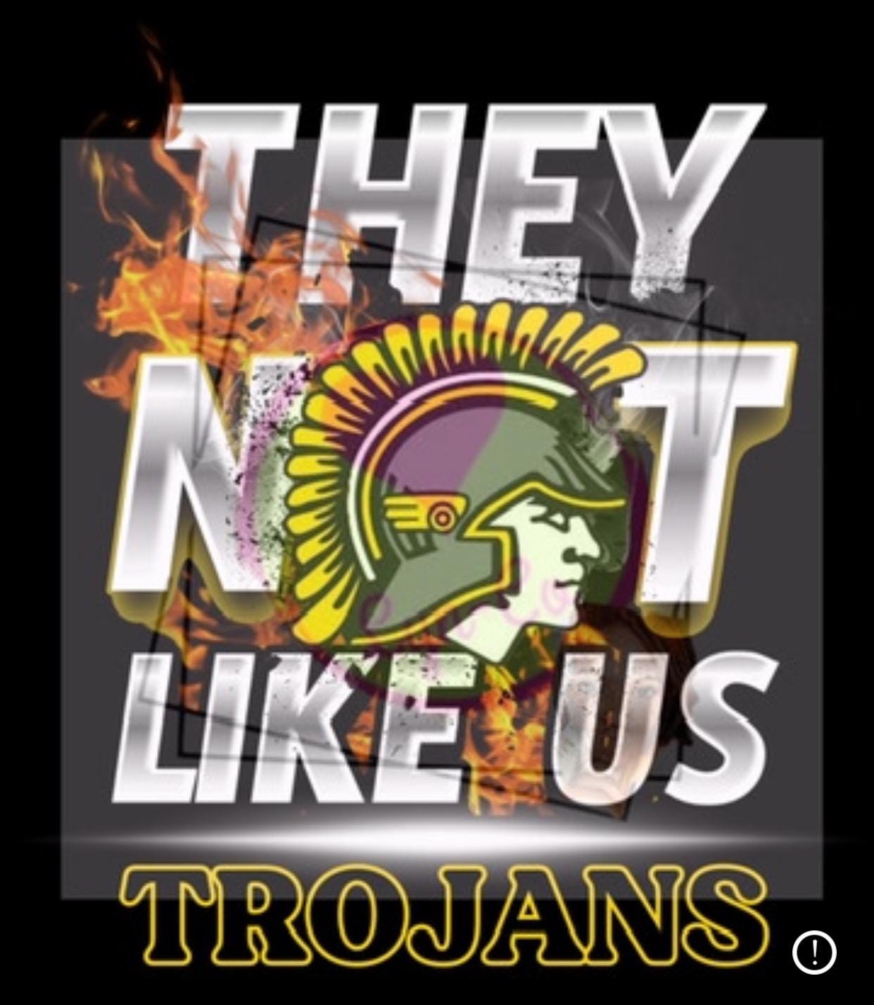 They Not Like Us-custom - Etsy