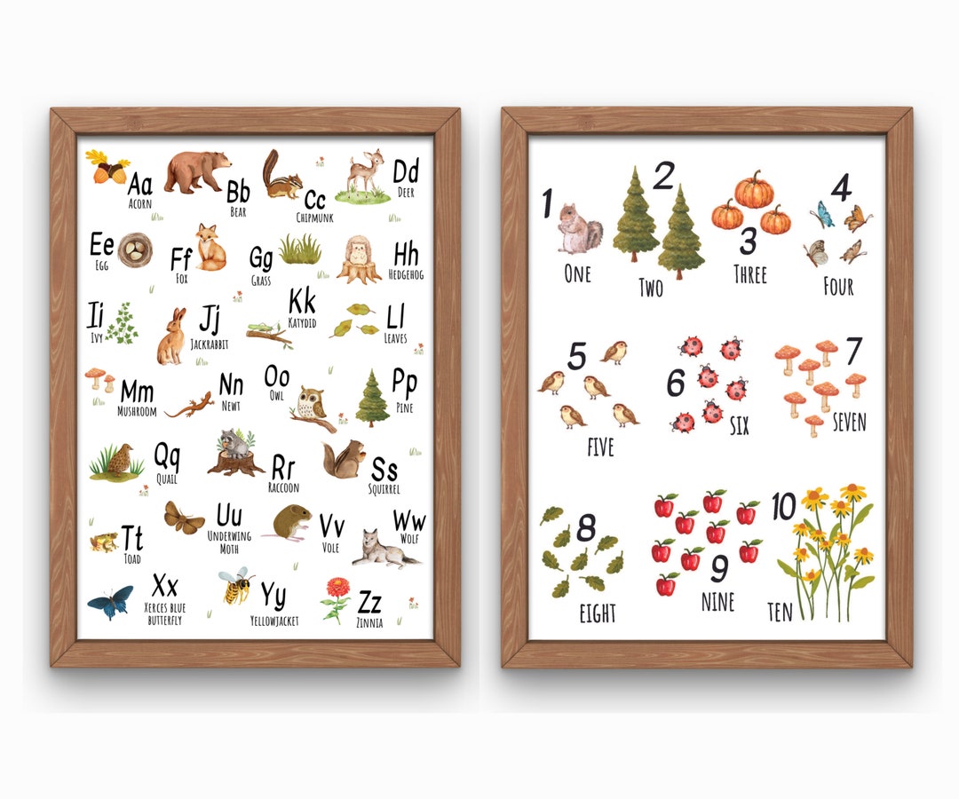 Woodland Alphabet & Woodland Numbers Set, Woodland ABC, Woodland 123 ...