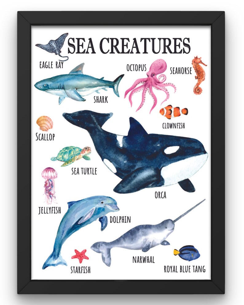 Sea Creatures Wild Animals Wall Art Set, Safari Animals, African ...