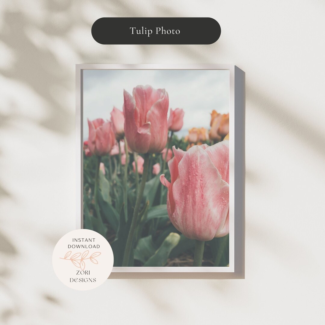 Tulip Print | Holland Tulips | Travel | Flower Landscape | Welcome to ...