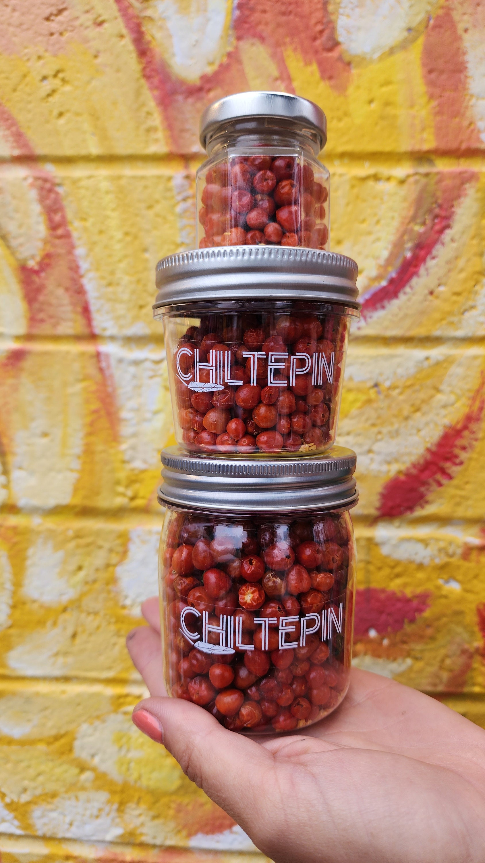 Chiltepin Chiles - Large Size 3.5oz - Etsy