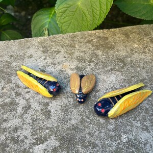 Cicadas Hand Made Hand Painted Pottery - Etsy