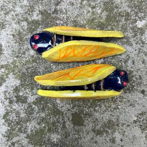 Cicadas Hand Made Hand Painted Pottery - Etsy