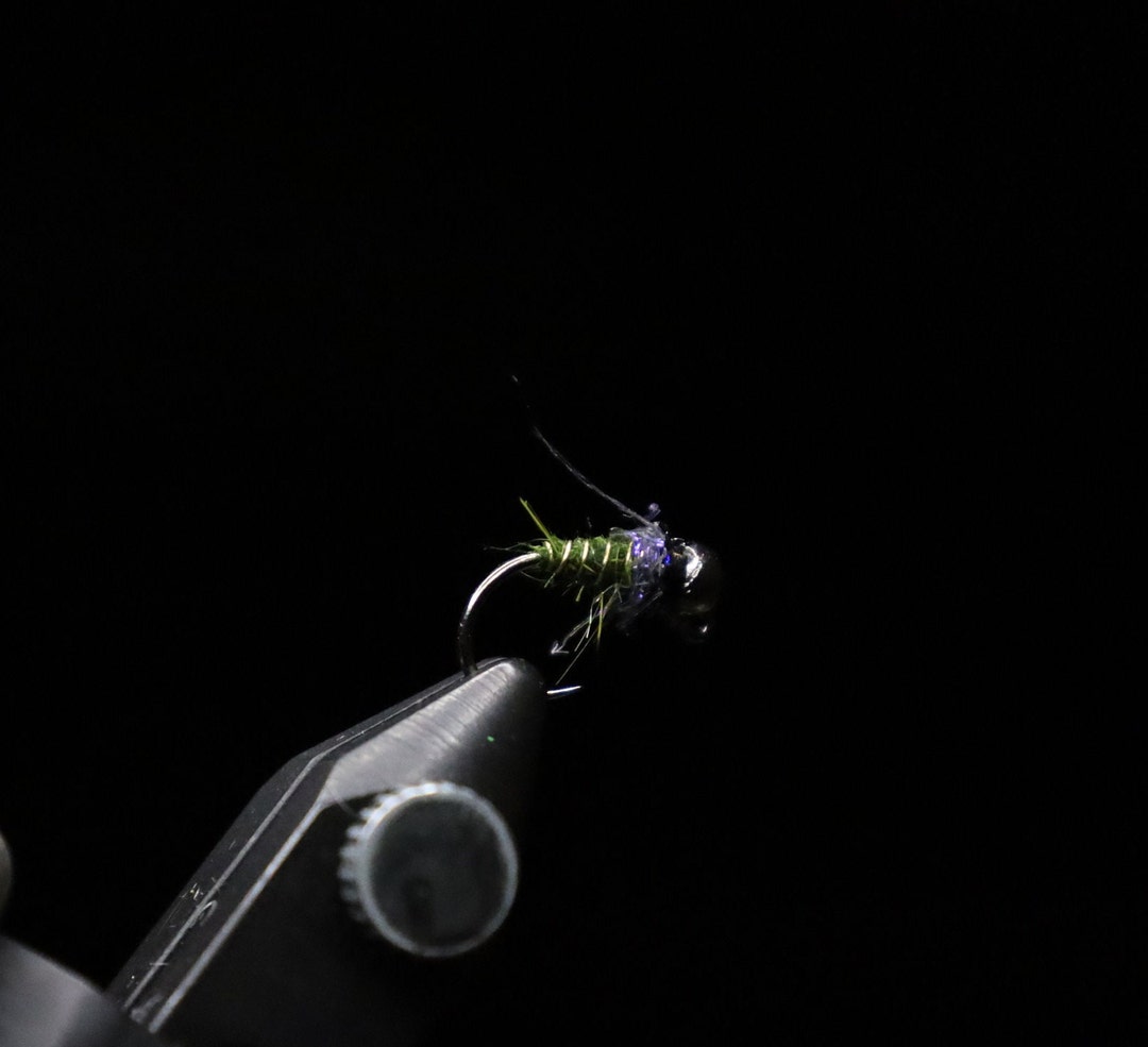 3 Euro Style Caddis Nymphs - Etsy