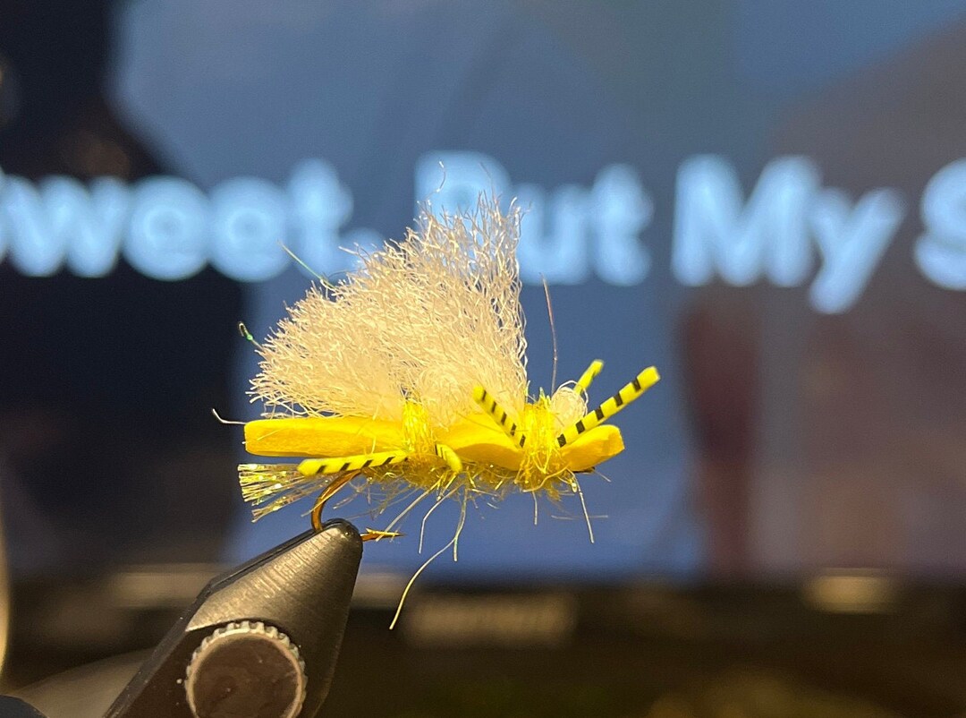 3 Little Yellow Sally Chubby - Etsy