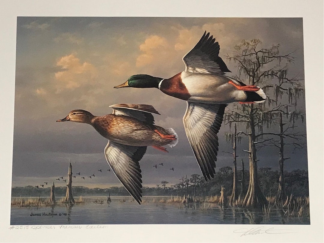 Vintage James Hautman Mallard Print: Signed & Numbered, Waterfowl Art ...