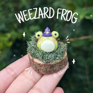 Wizard Frog Desk Buddy, Handmade Polymer Clay Figurine, Desk Decor - Etsy