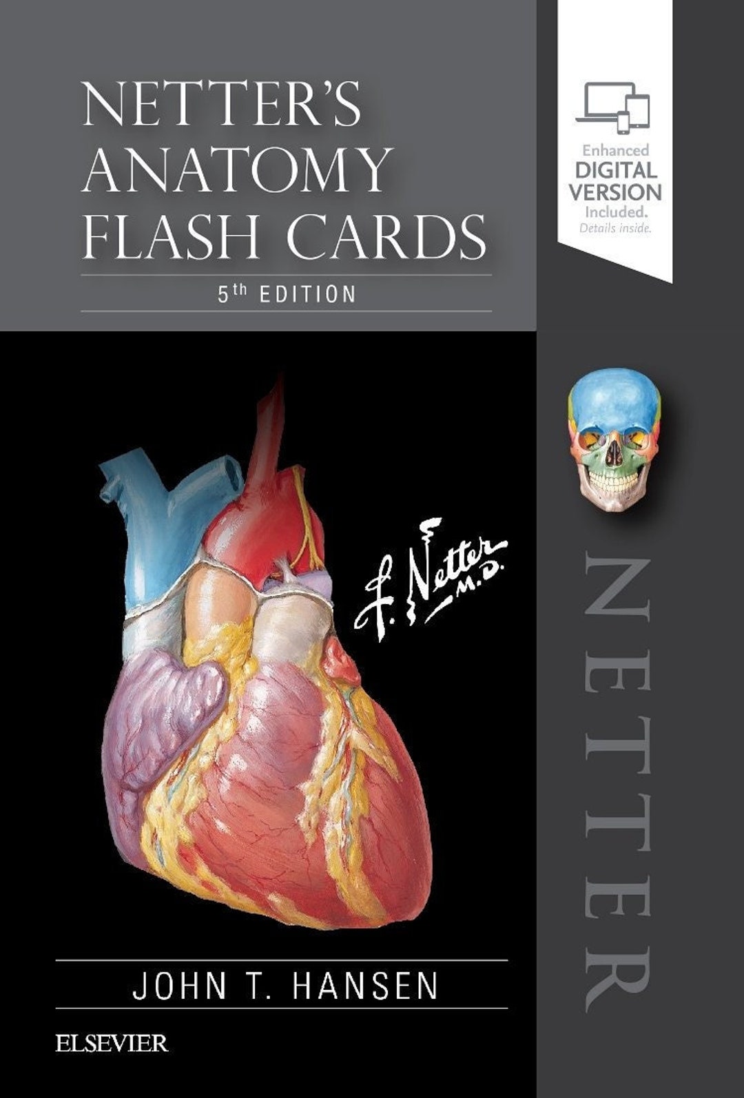 Netters Anatomy Flashcards 5th Edition PDF Ebook - Etsy UK