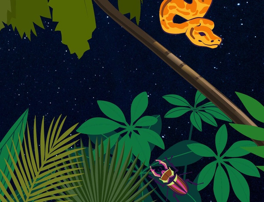 Animated Jungle Background for Zoom, Google Meet, Microsoft Teams ...