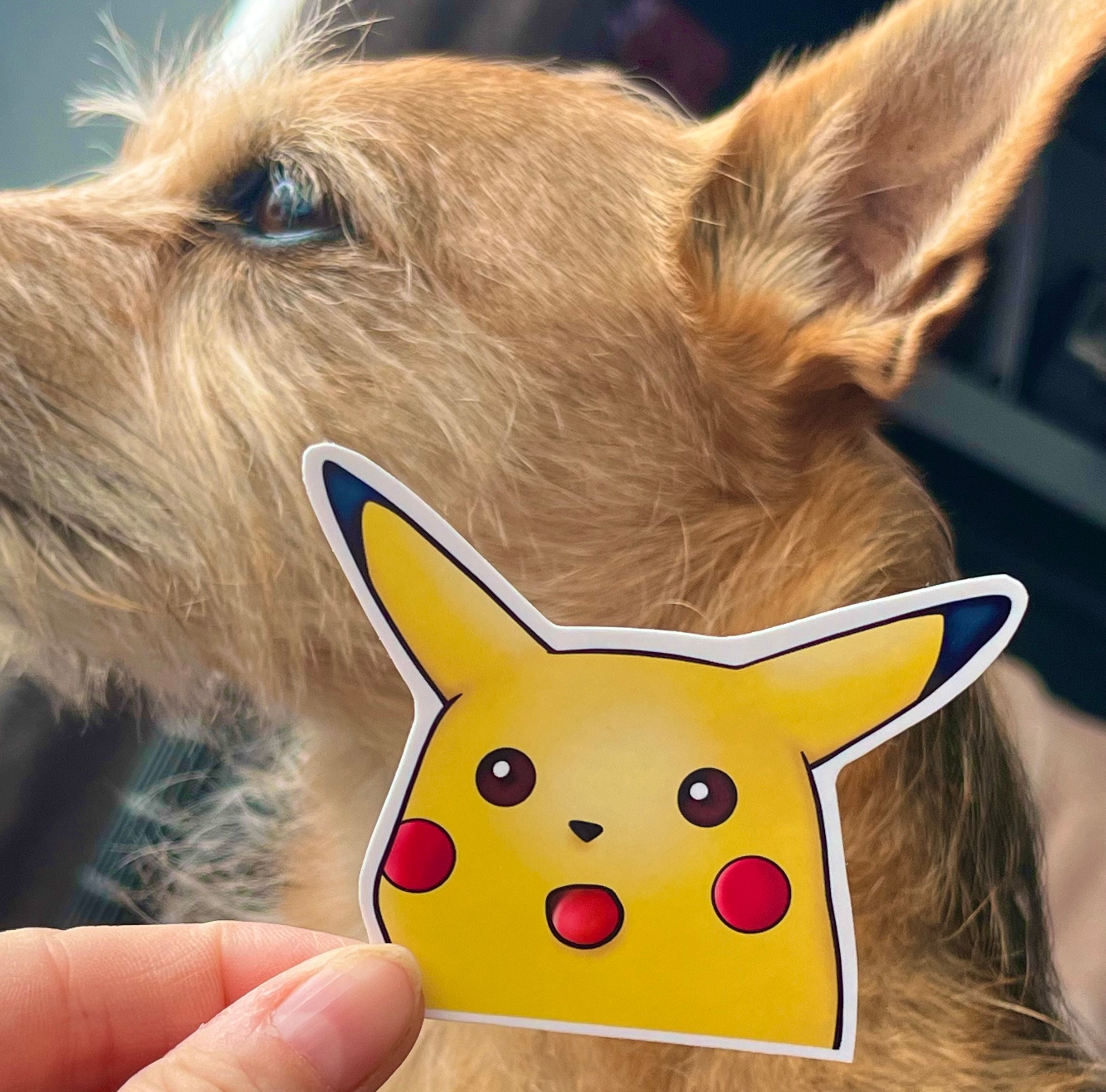 Pikachu Shocked Face Meme Sticker - Etsy Australia