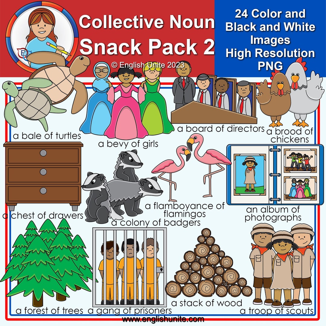 Clip Art Collective Nouns Snack Pack 2 educational - Etsy