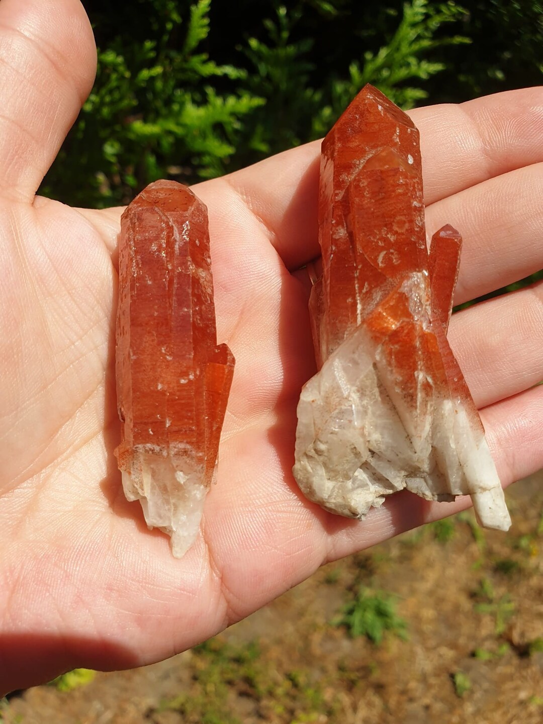 Rare Raw Points of Hematoid Quartz, Bahia, Quartz, Hematoid, Raw Stones ...