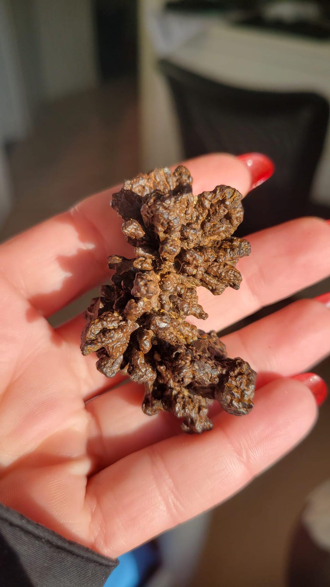 RARE Raw Stone of Prophecy 43g/h55mm/l38mm, Limonite, Hematite ...