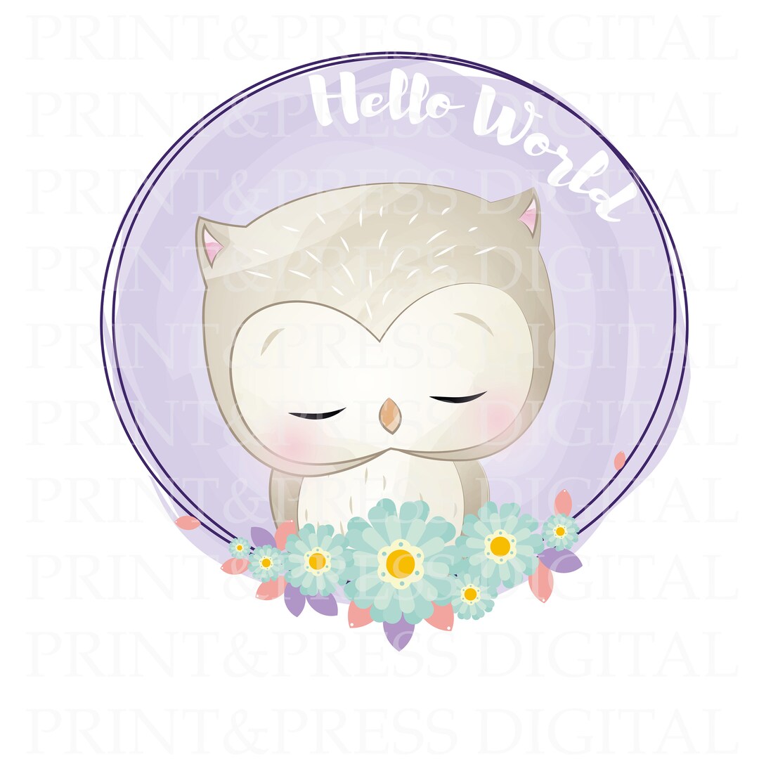 Hello World Owl Clipart, Owl PNG, Digital Download, Owlbaby Vest, Cute ...