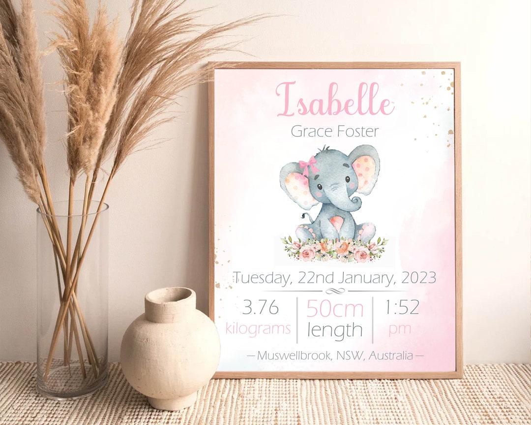 Baby Girl Decorative Birth Certificate Personalised Birth Details Birth ...