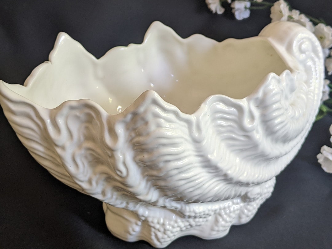 Coalport Country Ware White Conch Shell Dish - Etsy