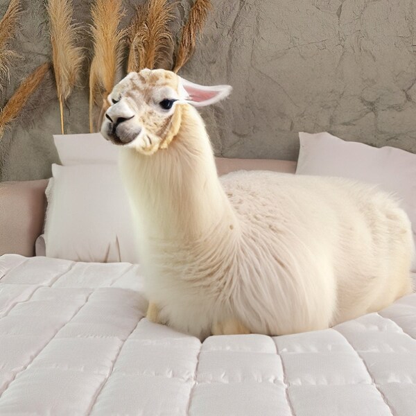 Wool Mattress Topper - Etsy