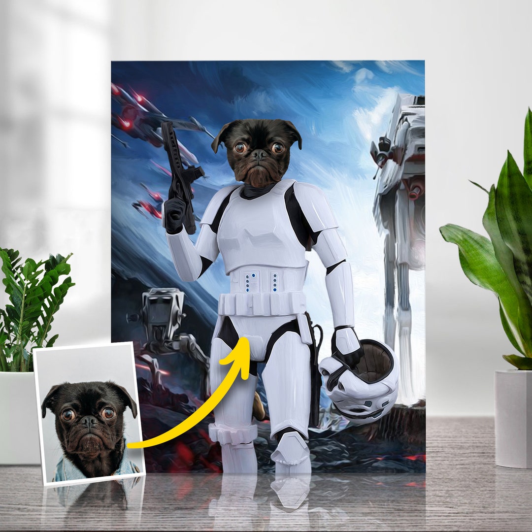 Custom Star Wars Stormtrooper Pet Portrait | Custom Stormtrooper ...